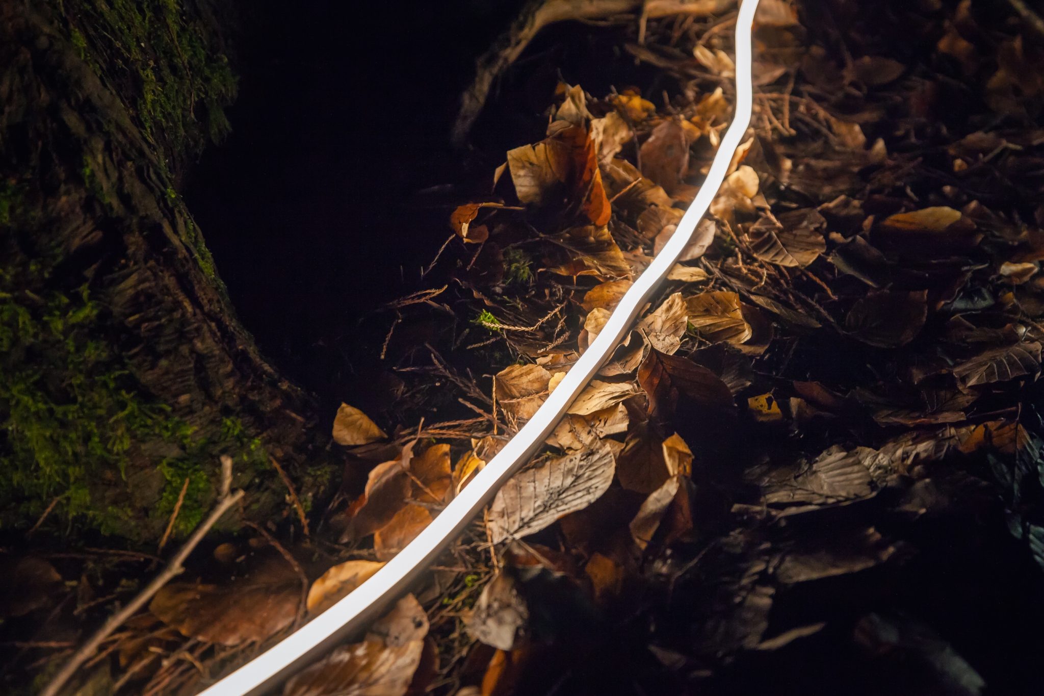 LIT Design Awards Light Art Project Winner: Integral Group - Lighting ...