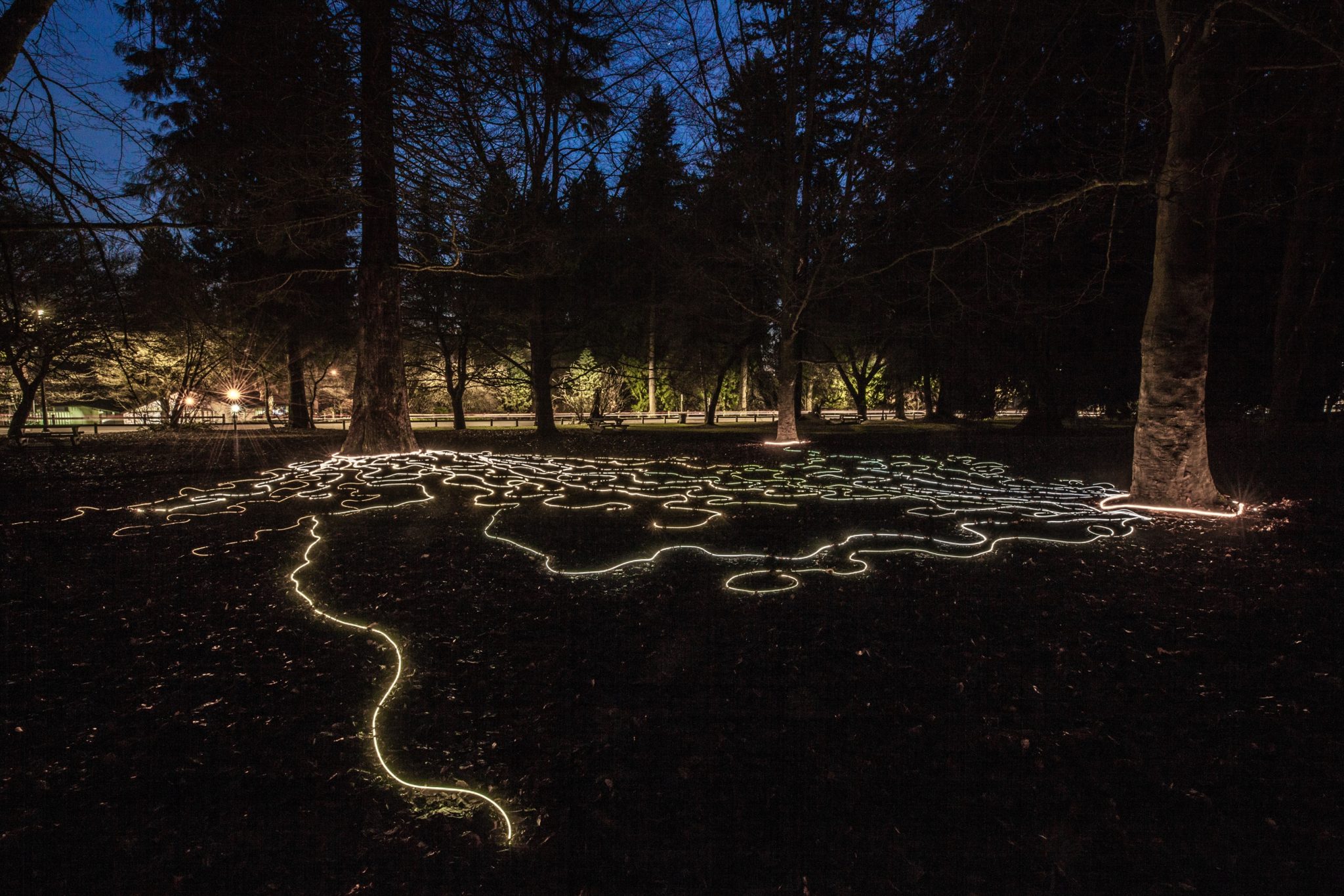 LIT Design Awards Light Art Project Winner: Integral Group - Lighting ...