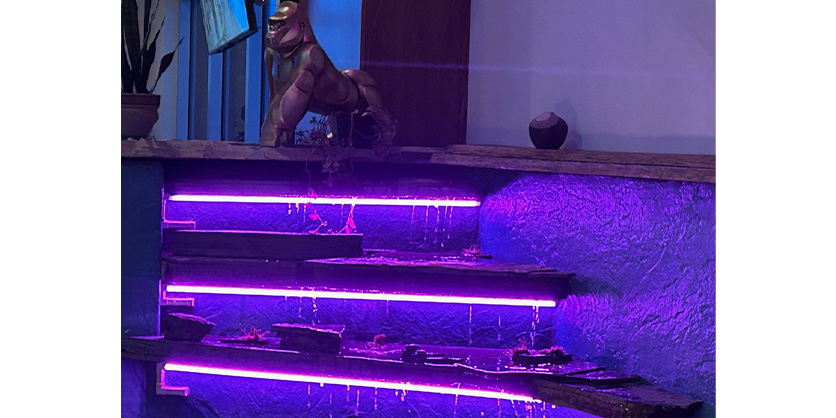 Redefine What’s Possible with the Ultra-Flex Series from UT Technology ...